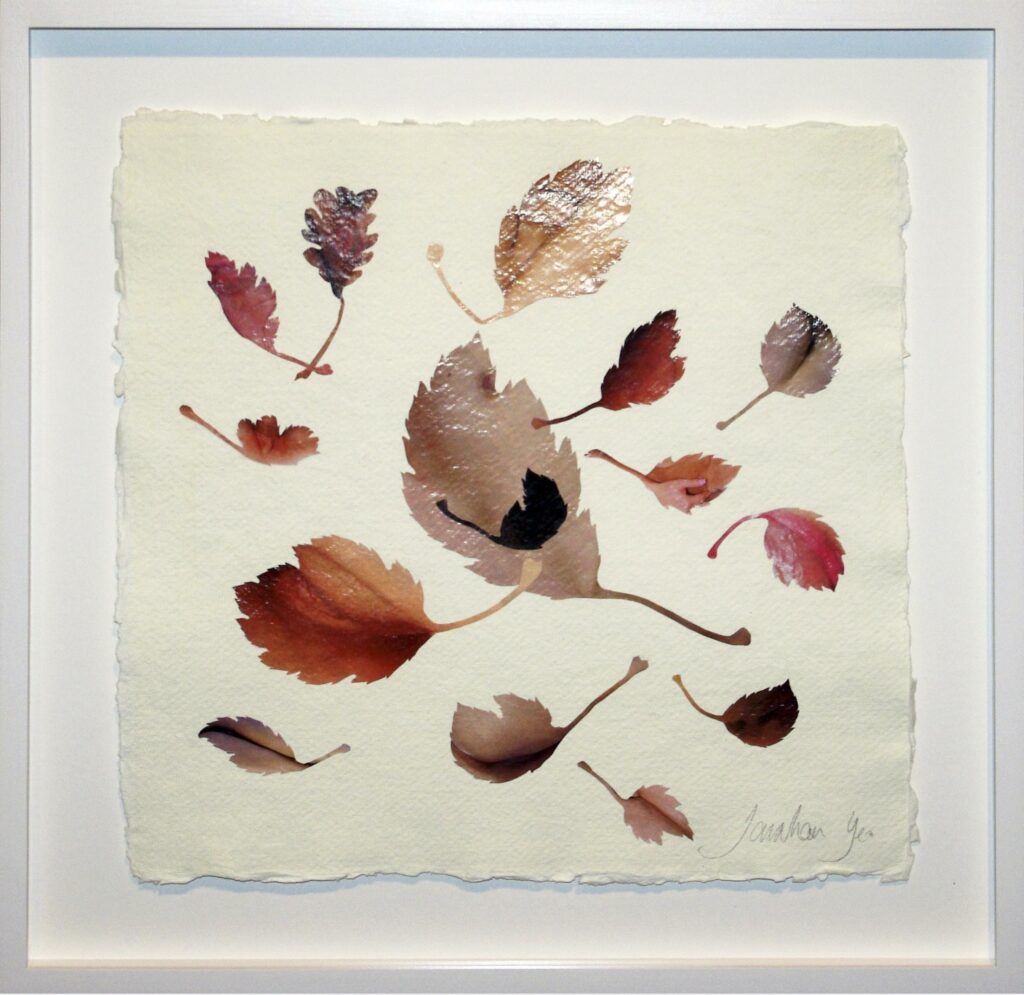 Leaves Study III - Circle Culture Gallery