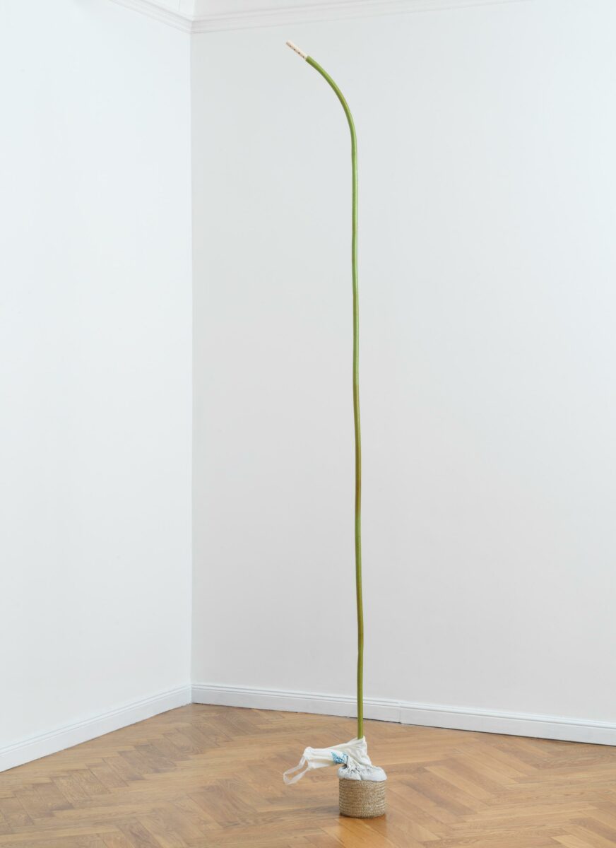 Stele - Haverkampf Leistenschneider