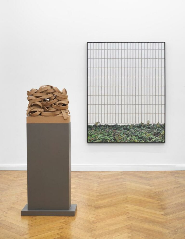 Stephen Kent - Haverkampf Leistenschneider