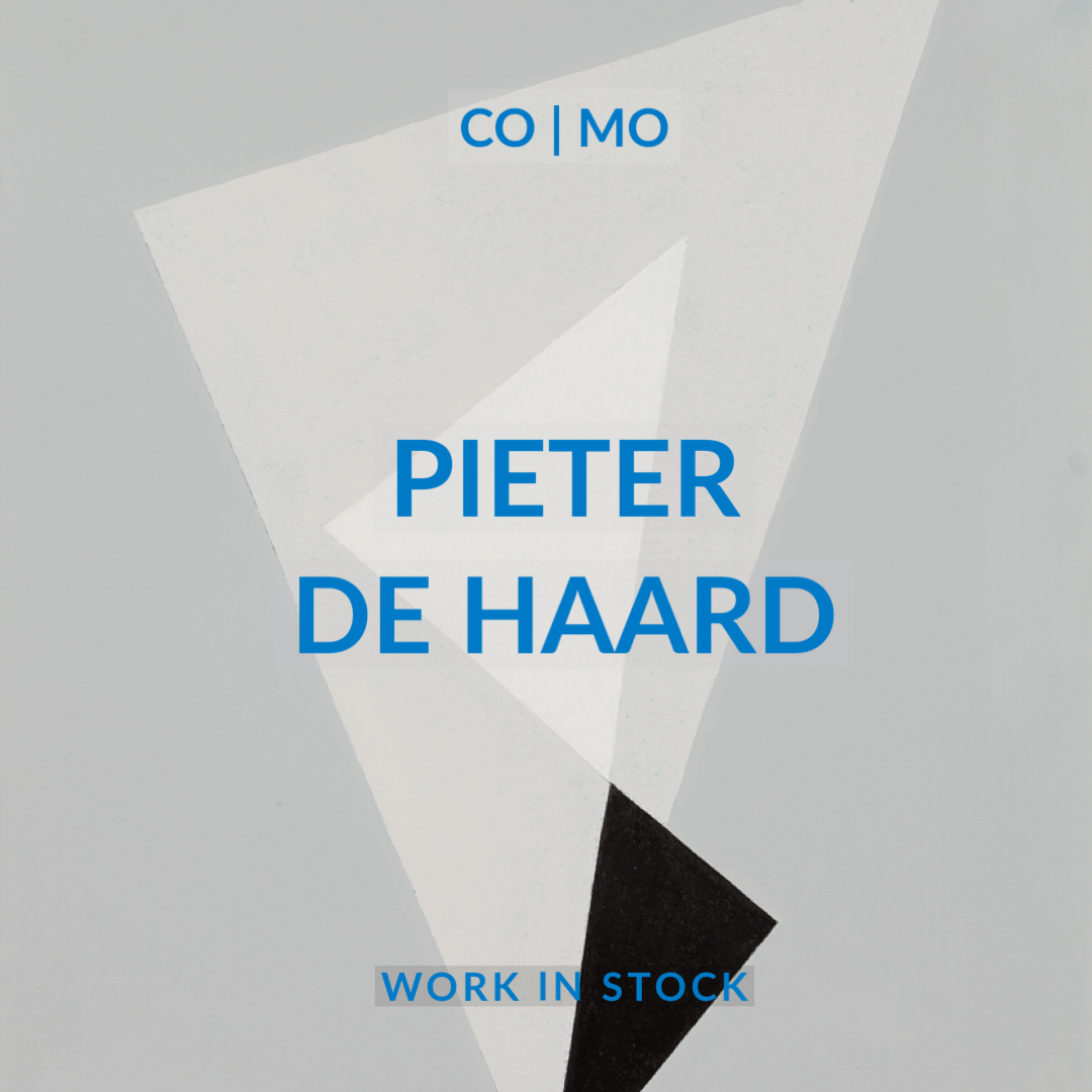 Pieter de Haard - CO | MO contemporary | modern